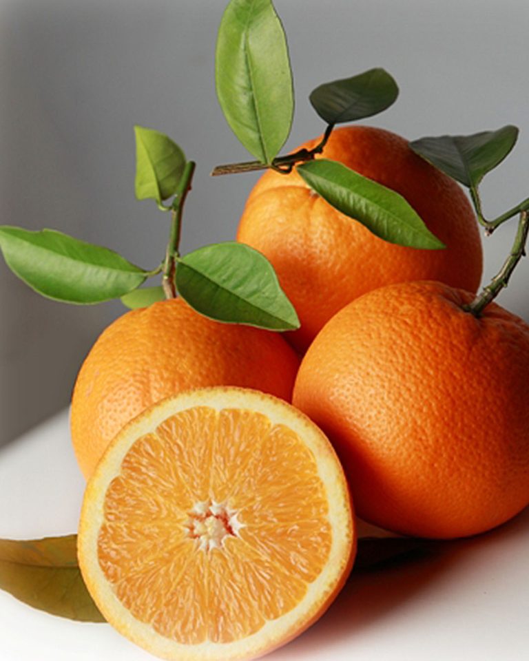 Naranjas - Naranjas Online | Comprar Naranjas Online. Comprar online ...